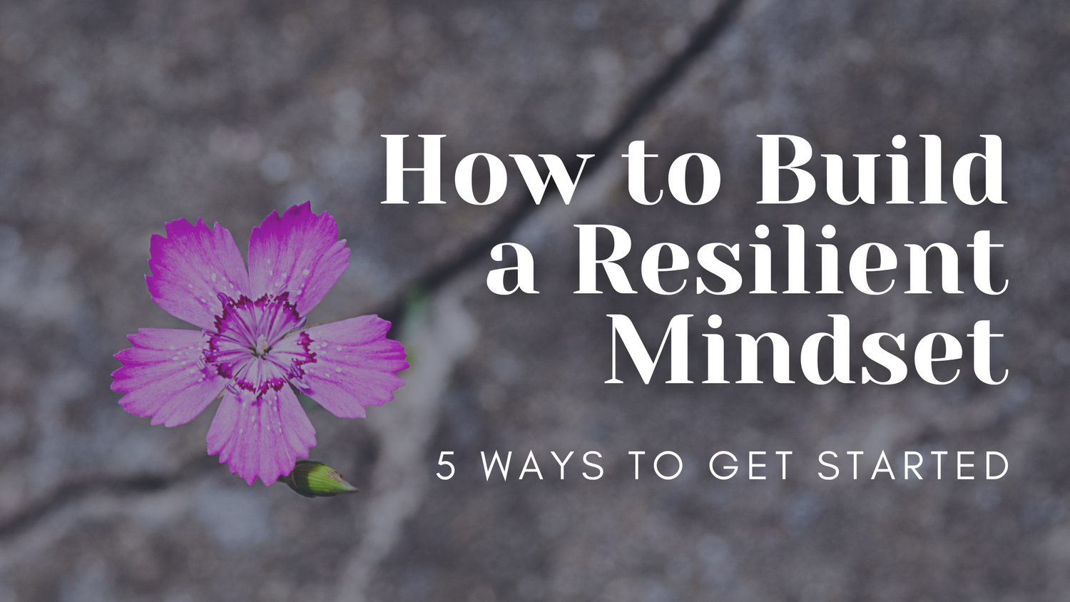 How to Build a Resilient Mindset – Trisha Flanagan Jewelry